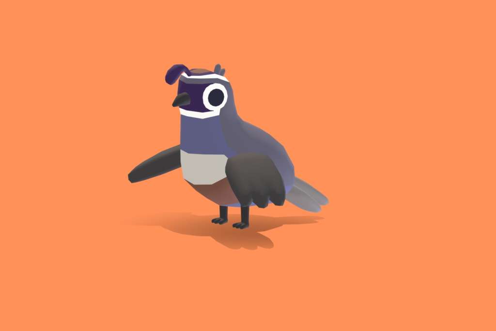 Quail - Quirky Series | Omabuarts Studio
